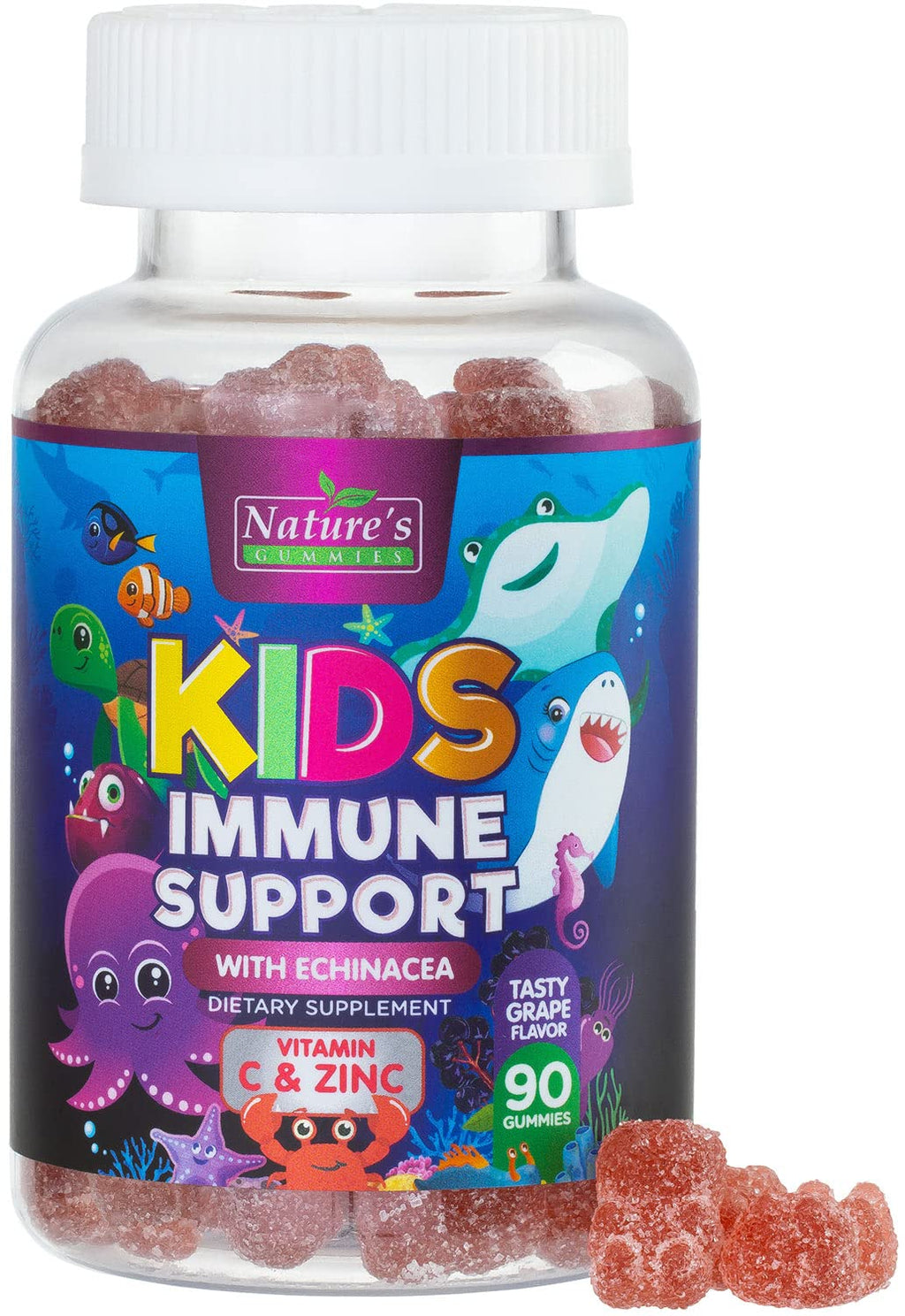 kids echinacea immune support gummies