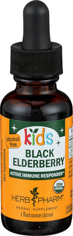 kids elderberry glycerite for wellness