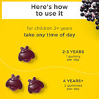 kids elderberry gummies for cold season