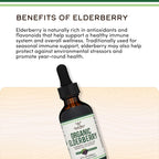 kids elderberry gummies for health