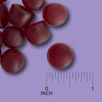 kids elderberry gummies for health