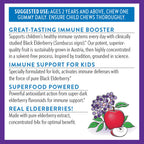 kids elderberry gummies with antioxidants