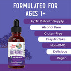 kids elderberry syrup for wellness