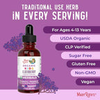 kids elderberry wellness drops