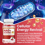 kids gummy multivitamin with NAD+