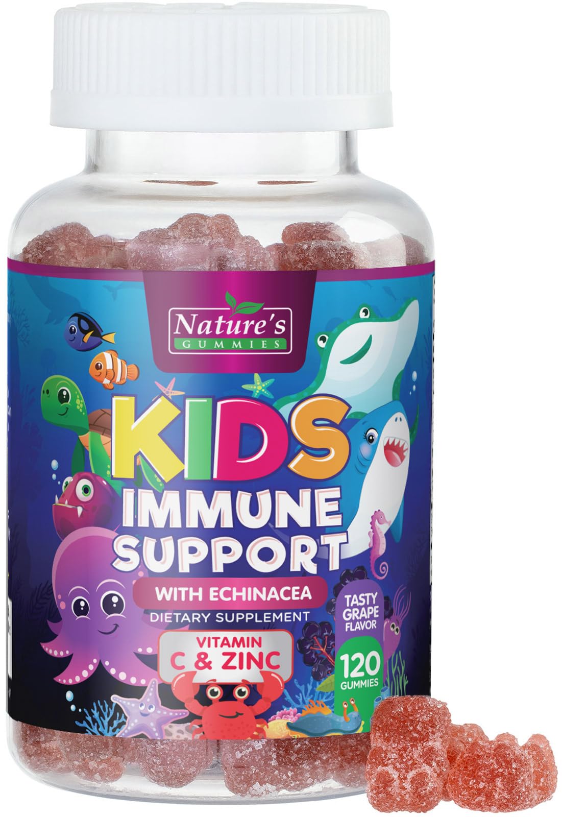kids immune support echinacea gummies