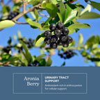 Kids multivitamin featuring aronia berry