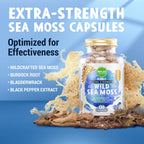 kids multivitamin featuring sea moss