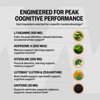 kids multivitamin for brain support