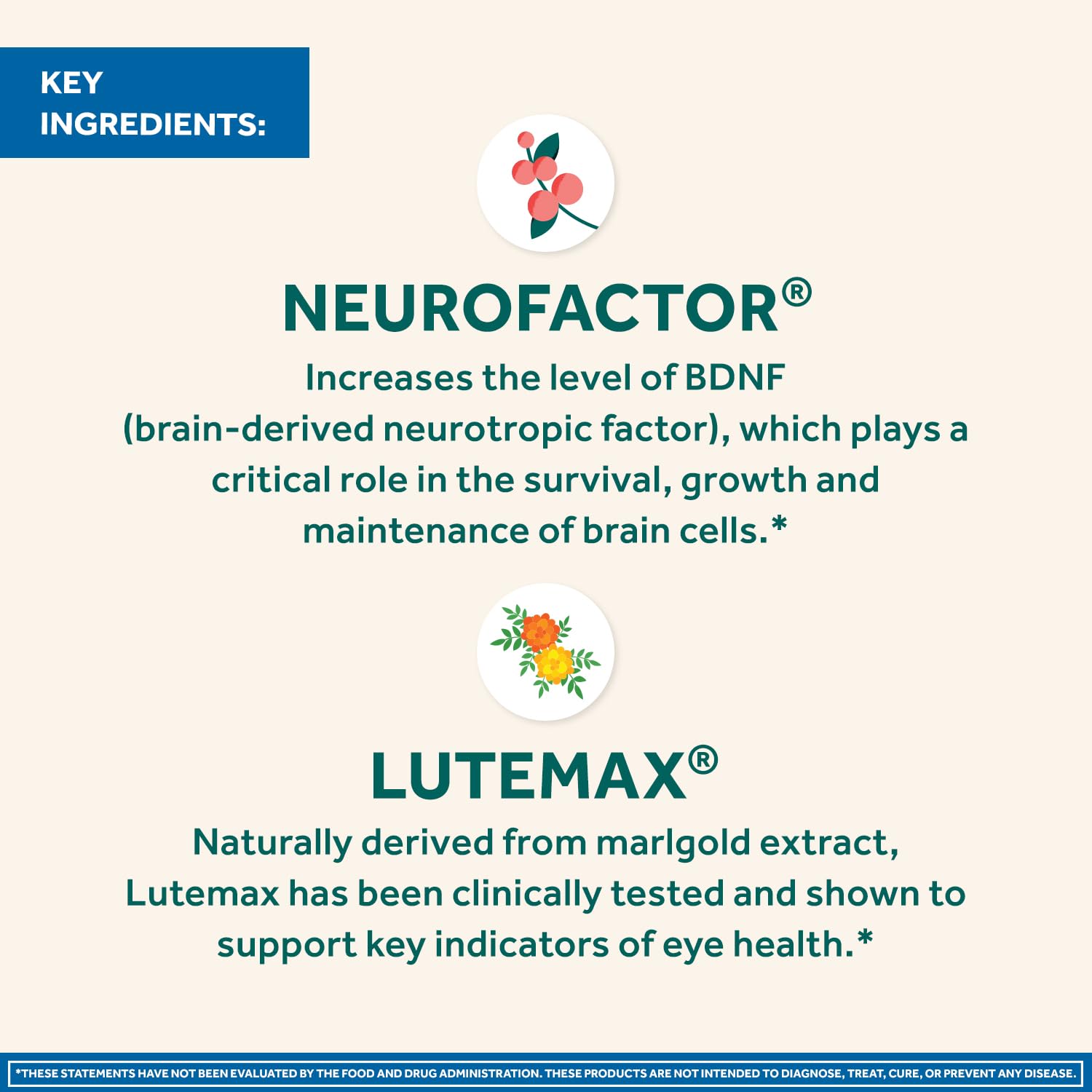 kids multivitamin for cognitive function