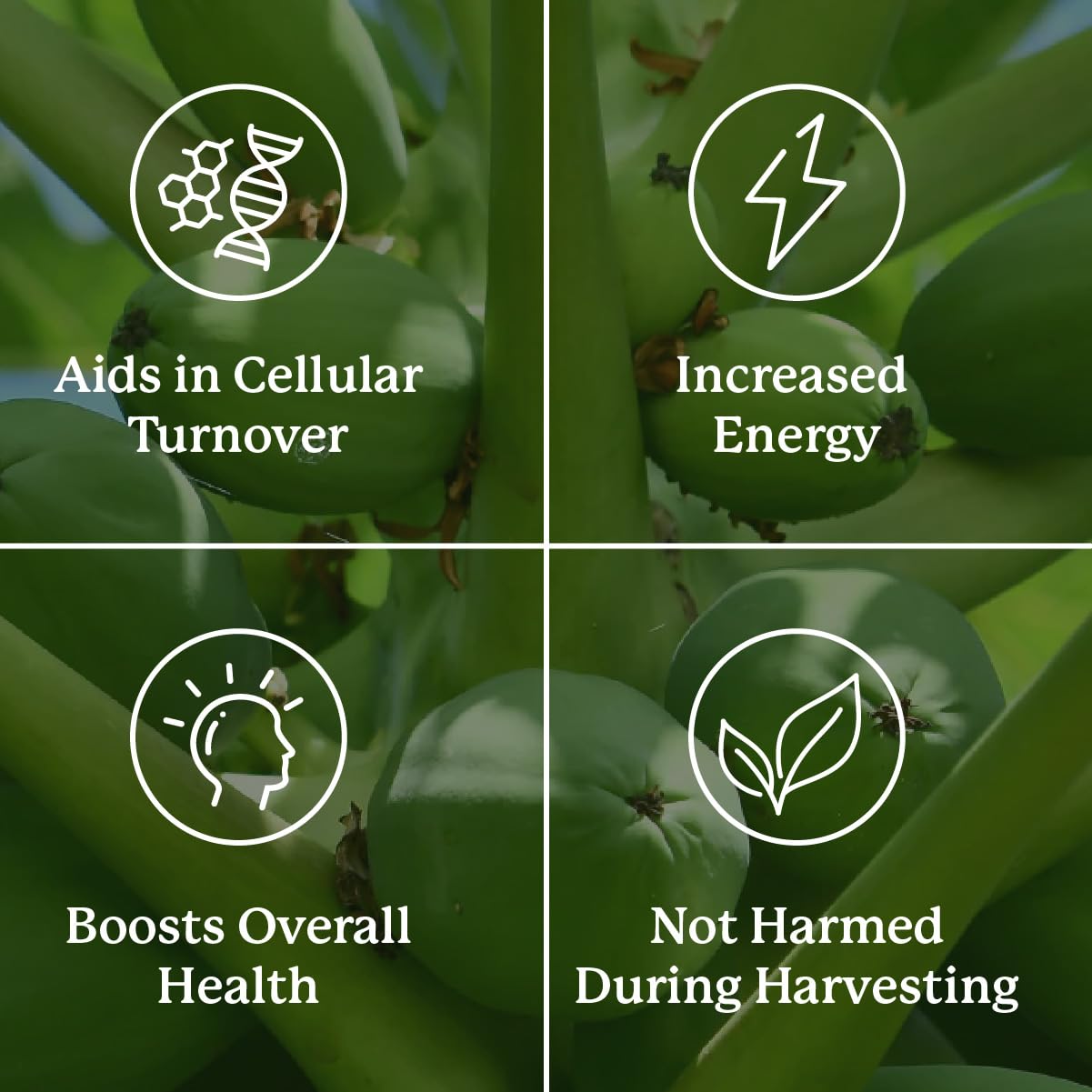 kids multivitamin for healthy growth