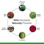 kids multivitamin for healthy growth