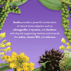 kids multivitamin for healthy growth