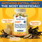 kids multivitamin for immune support