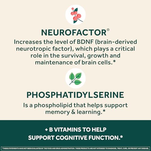 kids multivitamin for learning focus