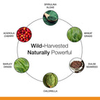 kids multivitamin for strong immune support