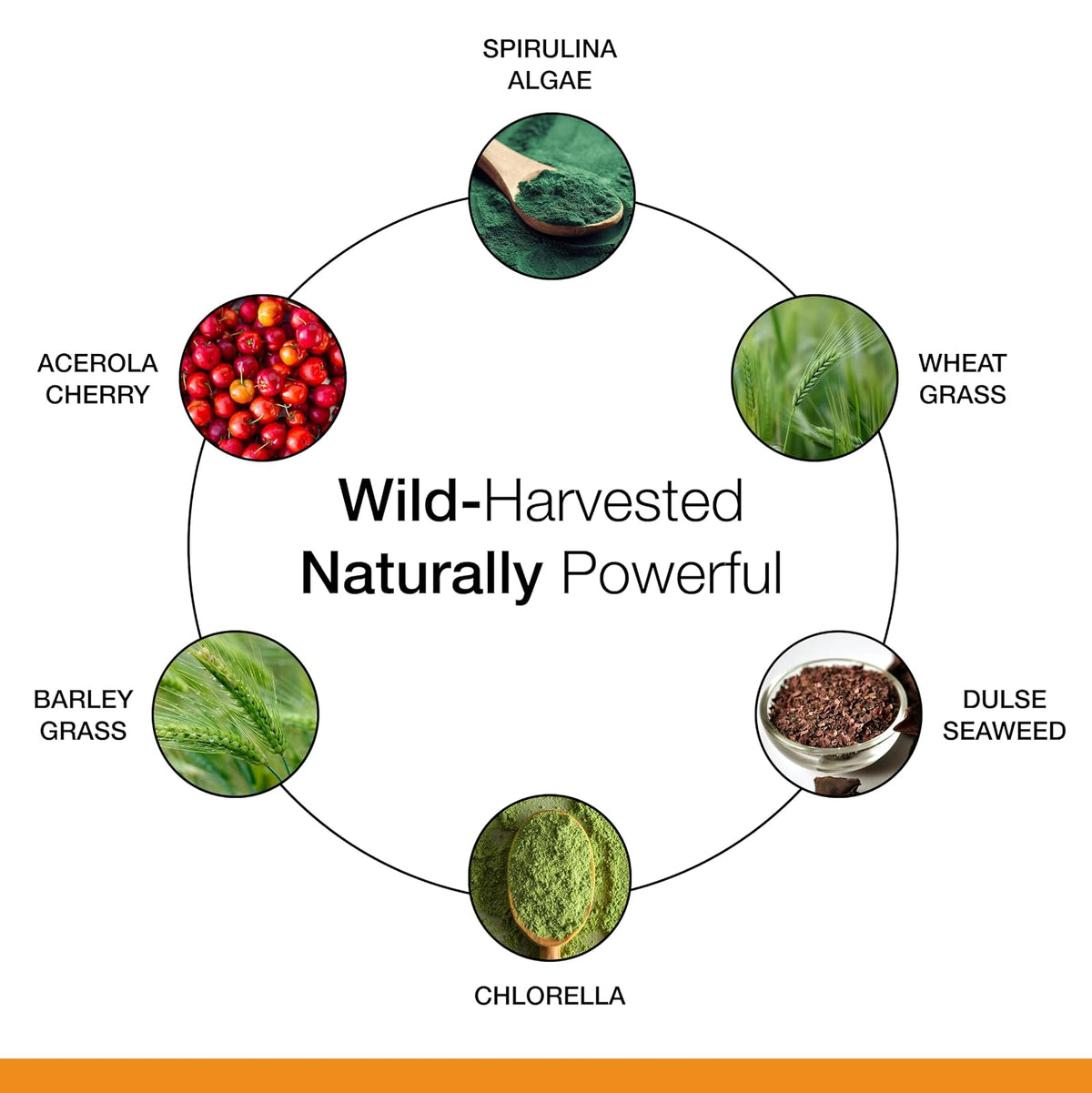 kids multivitamin for strong immune support