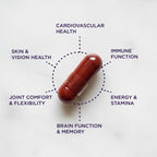 kids multivitamin for strong immunity