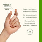 kids multivitamin in easy-to-swallow capsules
