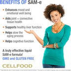 kids multivitamin liquid formula
