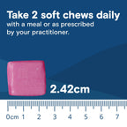 kids multivitamin soft chew option