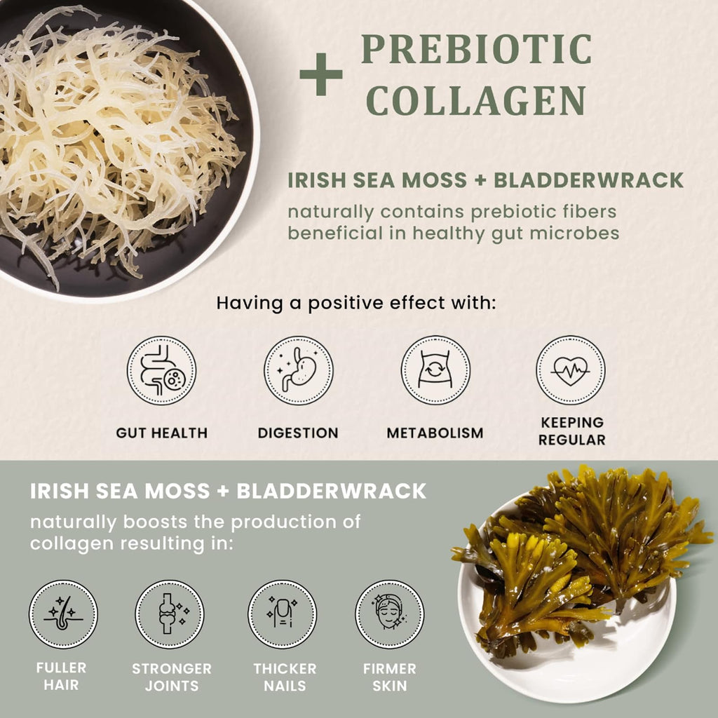 kids multivitamin with bladderwrack benefits