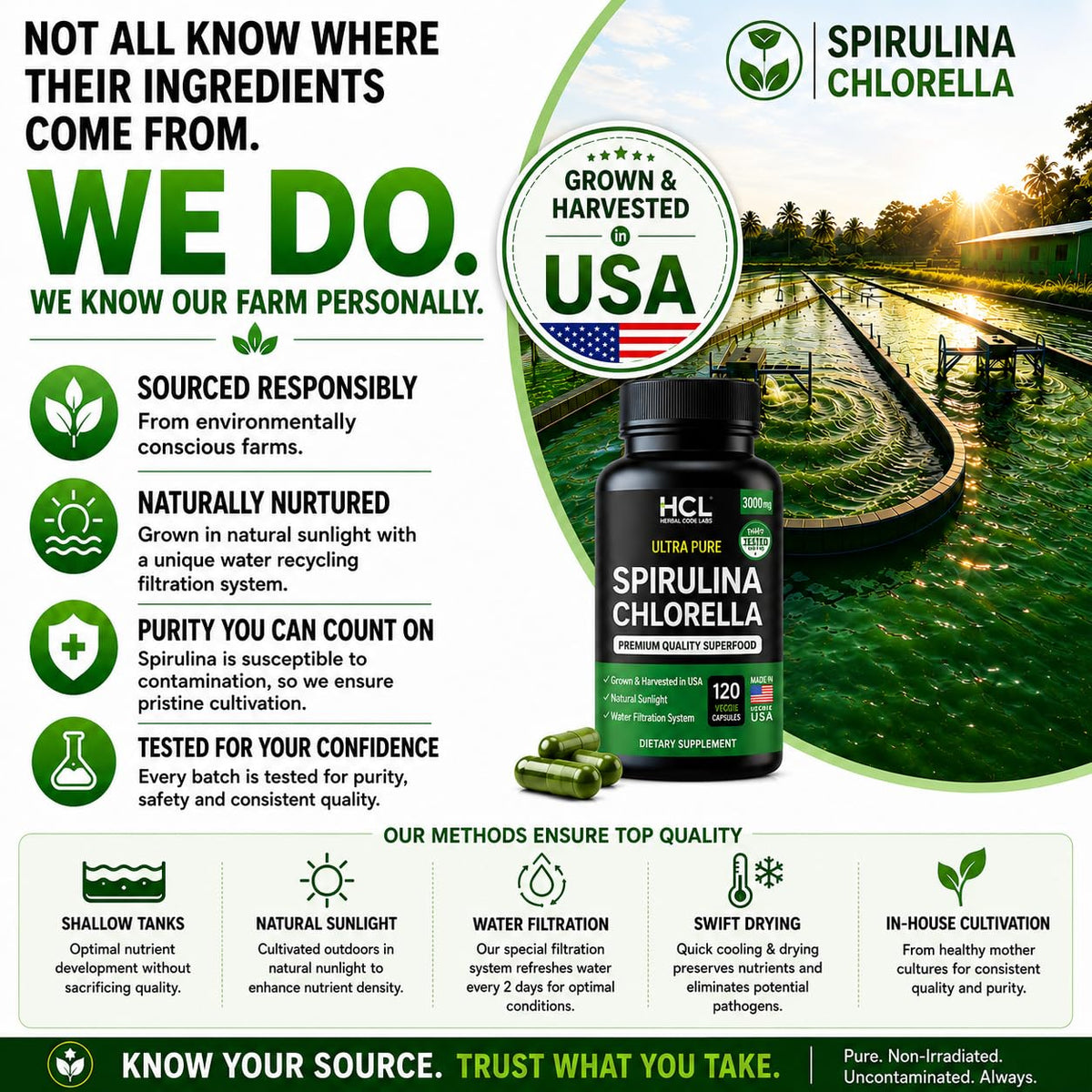 Kids multivitamin with chlorella benefits