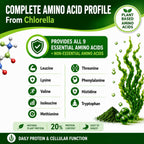 Kids multivitamin with chlorella benefits