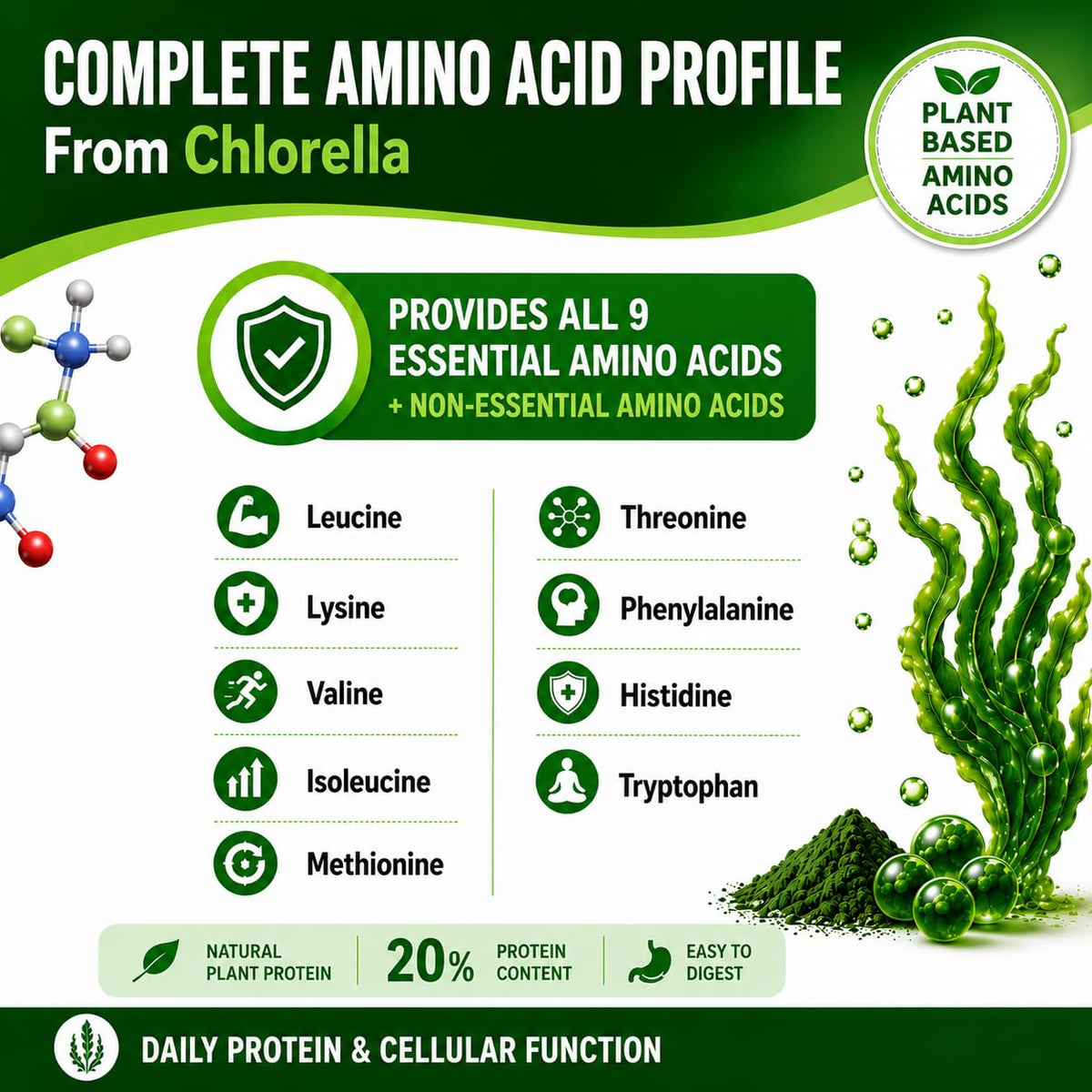 Kids multivitamin with chlorella benefits