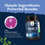 kids multivitamin with DHEA benefits