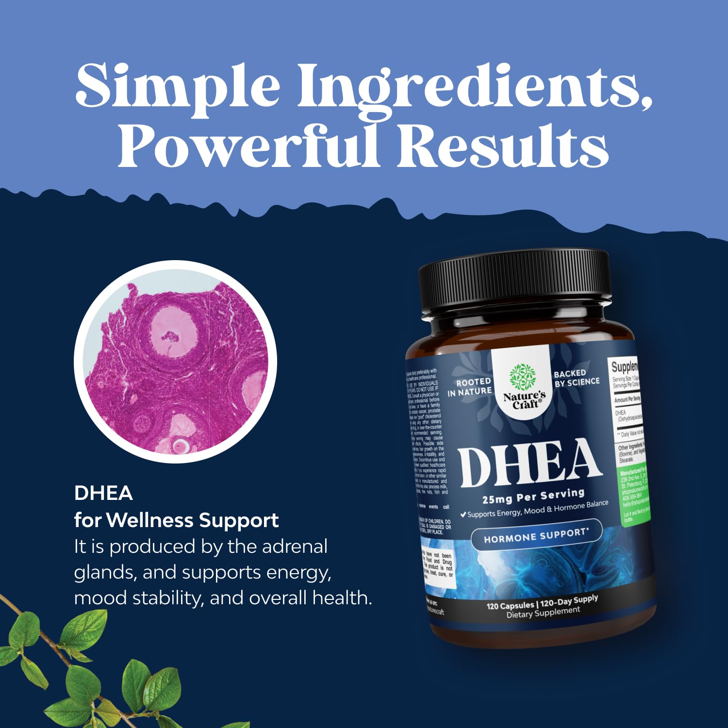 kids multivitamin with DHEA benefits