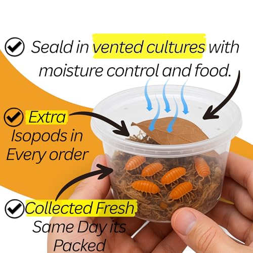 kids multivitamin with essential nutrients