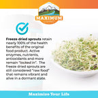 kids multivitamin with essential vitamins