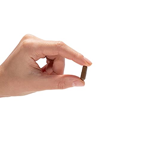 kids multivitamin with essential vitamins