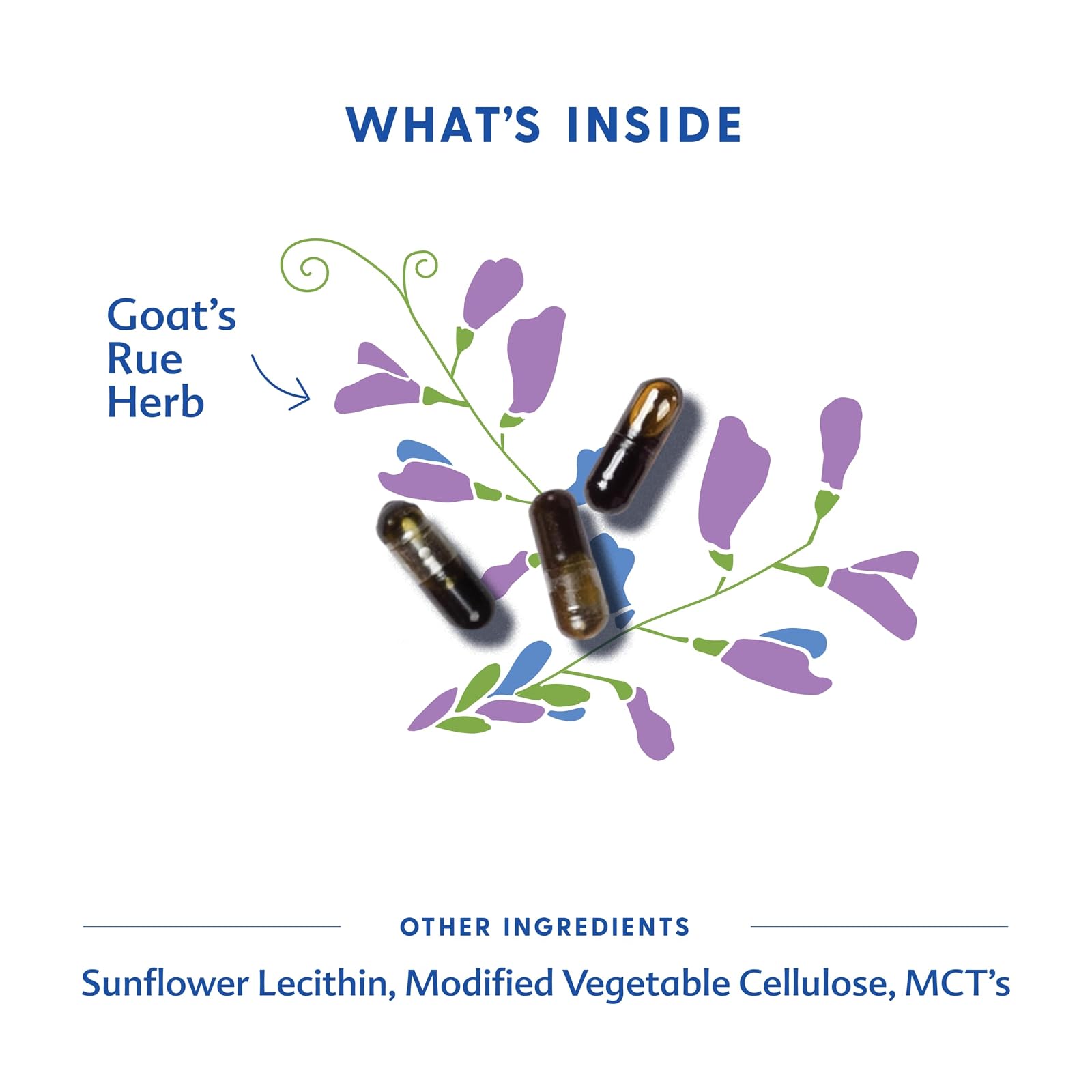 kids multivitamin with Goat's Rue
