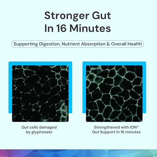 kids multivitamin with gut support
