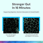 kids multivitamin with gut support