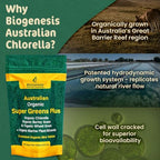 kids multivitamin with natural ingredients