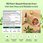kids multivitamin with natural ingredients