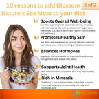 kids multivitamin with natural ingredients