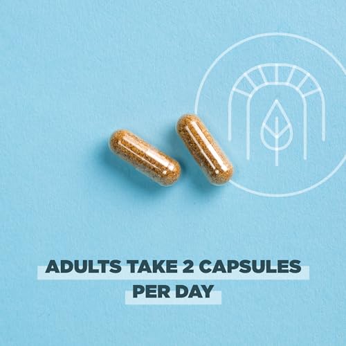 kids multivitamin with natural ingredients