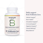 kids multivitamin with natural ingredients