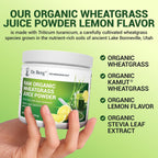 kids multivitamin with natural ingredients