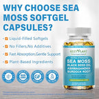 kids multivitamin with natural ingredients