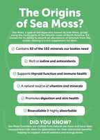 kids multivitamin with natural ingredients