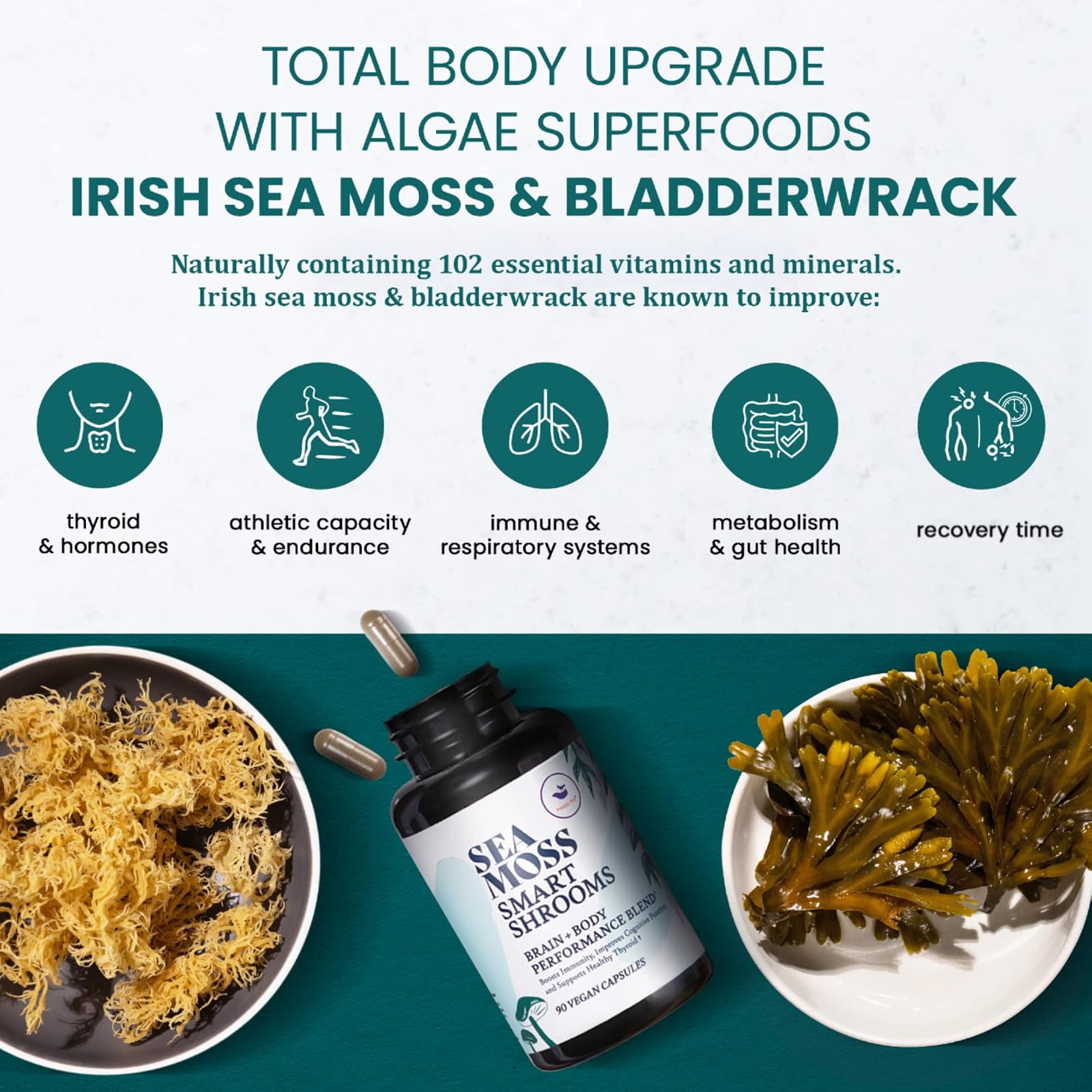 kids multivitamin with sea moss