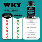 kids multivitamin with spermidine benefits