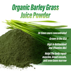kids multivitamin with super greens