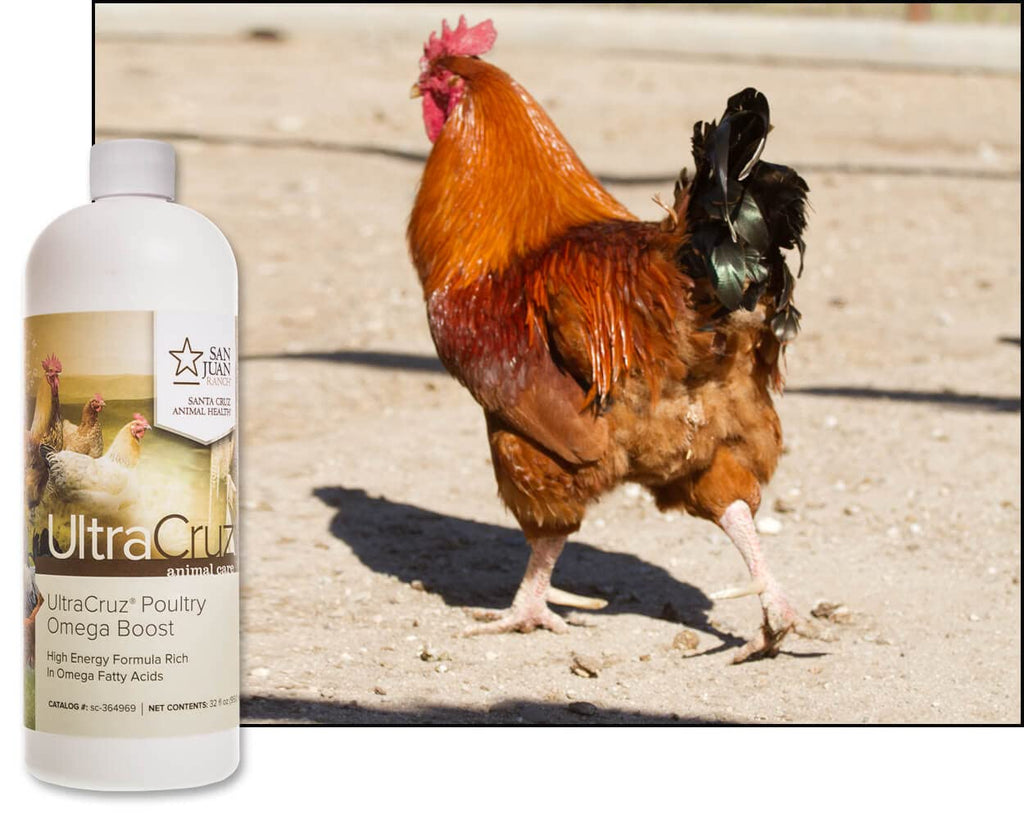 Kids omega 3 fish oil benefits