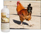 Kids omega 3 fish oil benefits